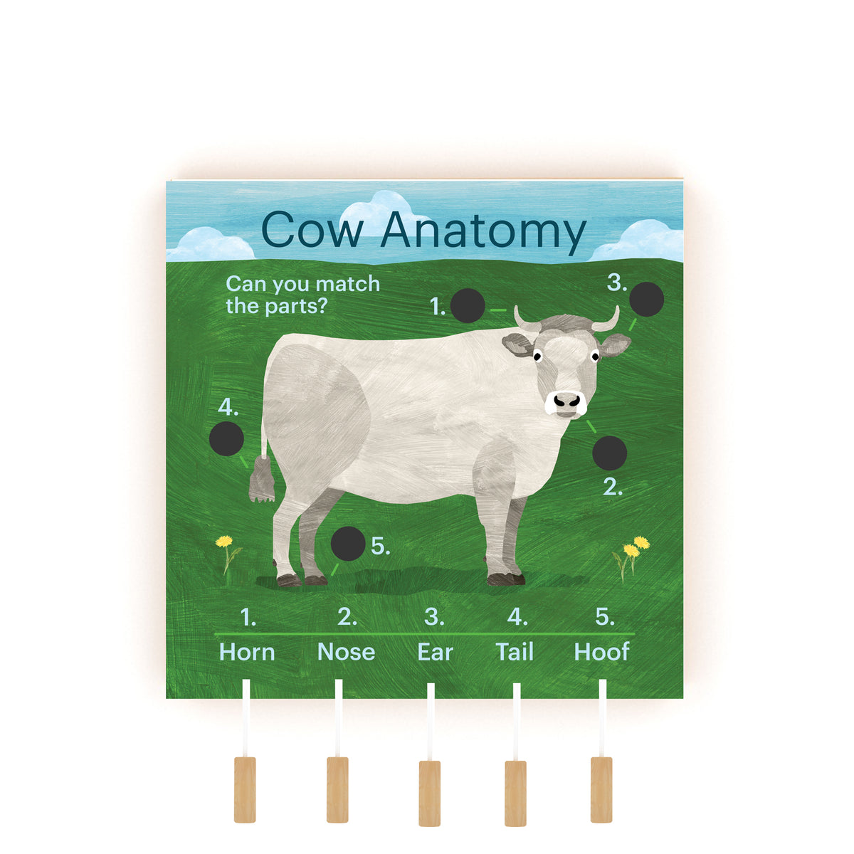 Cow Anatomy - Peg Style Learning Panel – TMC | The Makers Creative